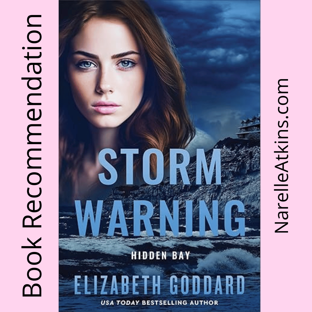Book Recommendation - Storm Warning by Elizabeth Goddard